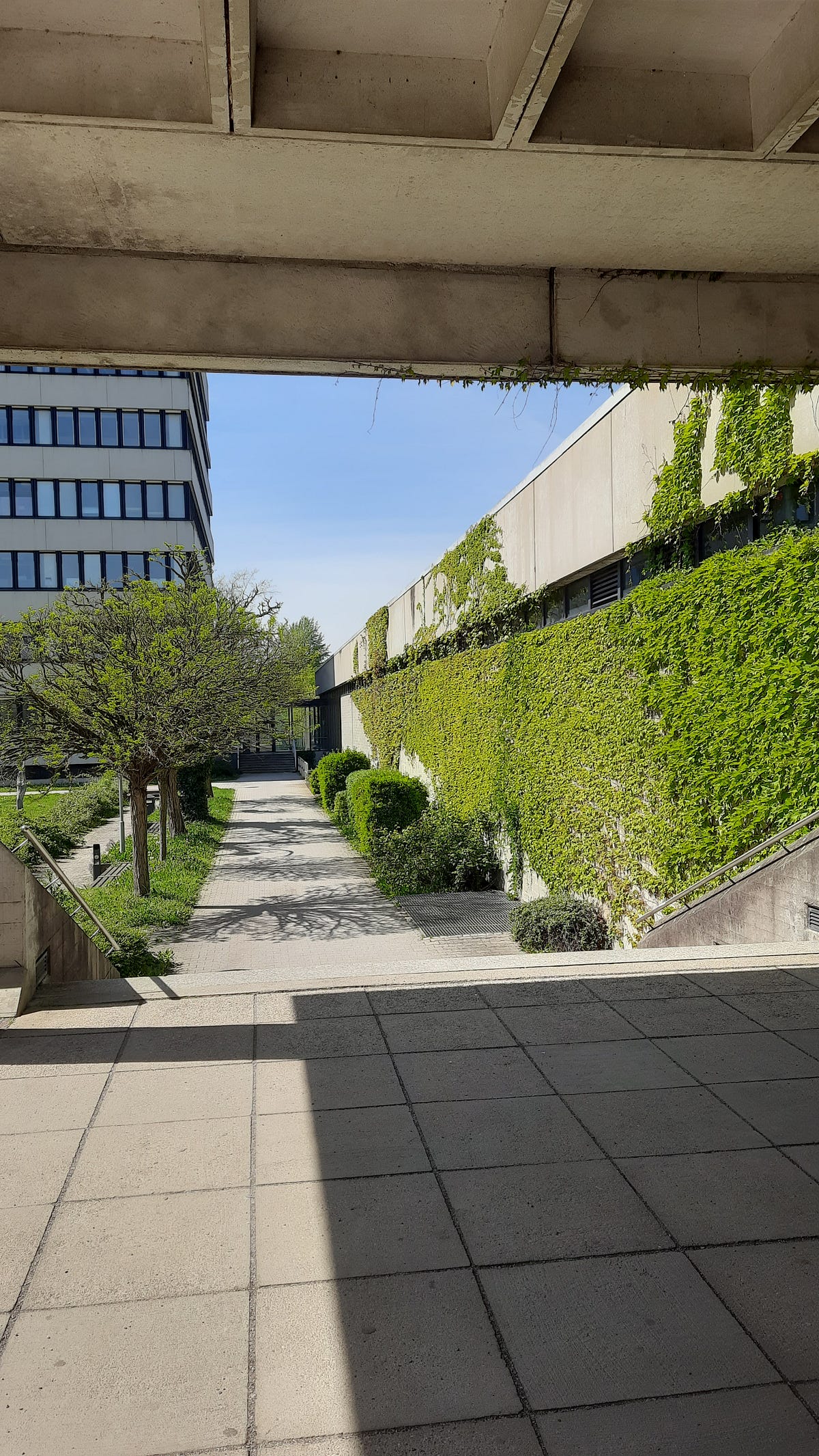 Beyond the Financial Perks: Life as a DAAD Scholar at MIPLC | by Adanna ...