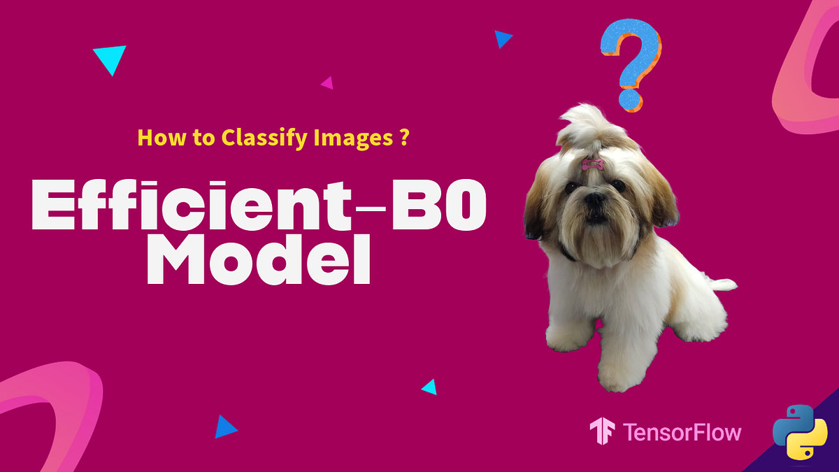 How to Classify images using Efficientnet B0 | by Eran Feit | The Pythoneers | Medium