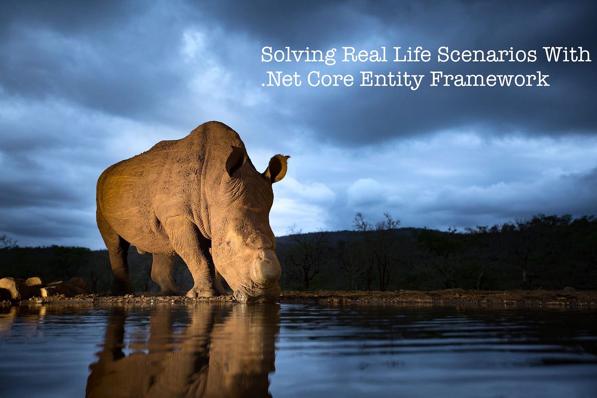 Solving Real Life Scenarios With .Net Core Entity Framework | by Bora ...
