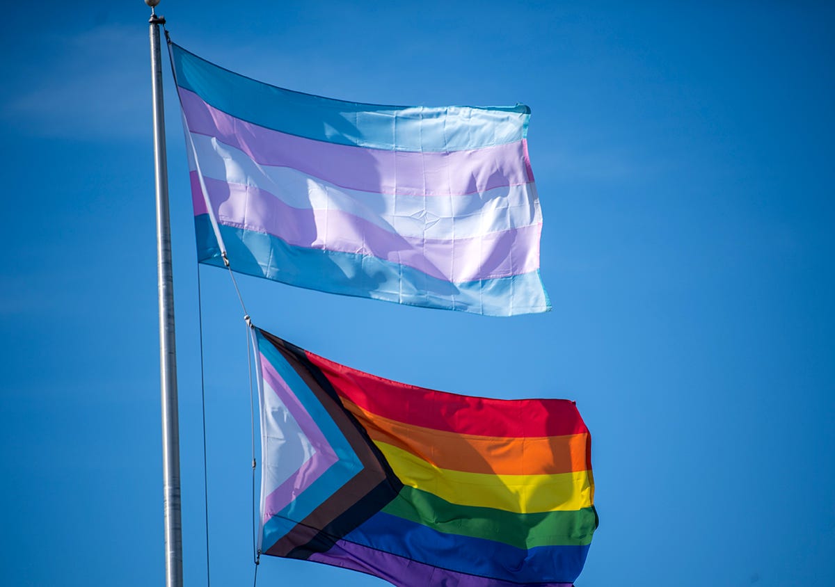 My Life As A Scary Radical Trans Leftist | by Rachel Chervin | Medium