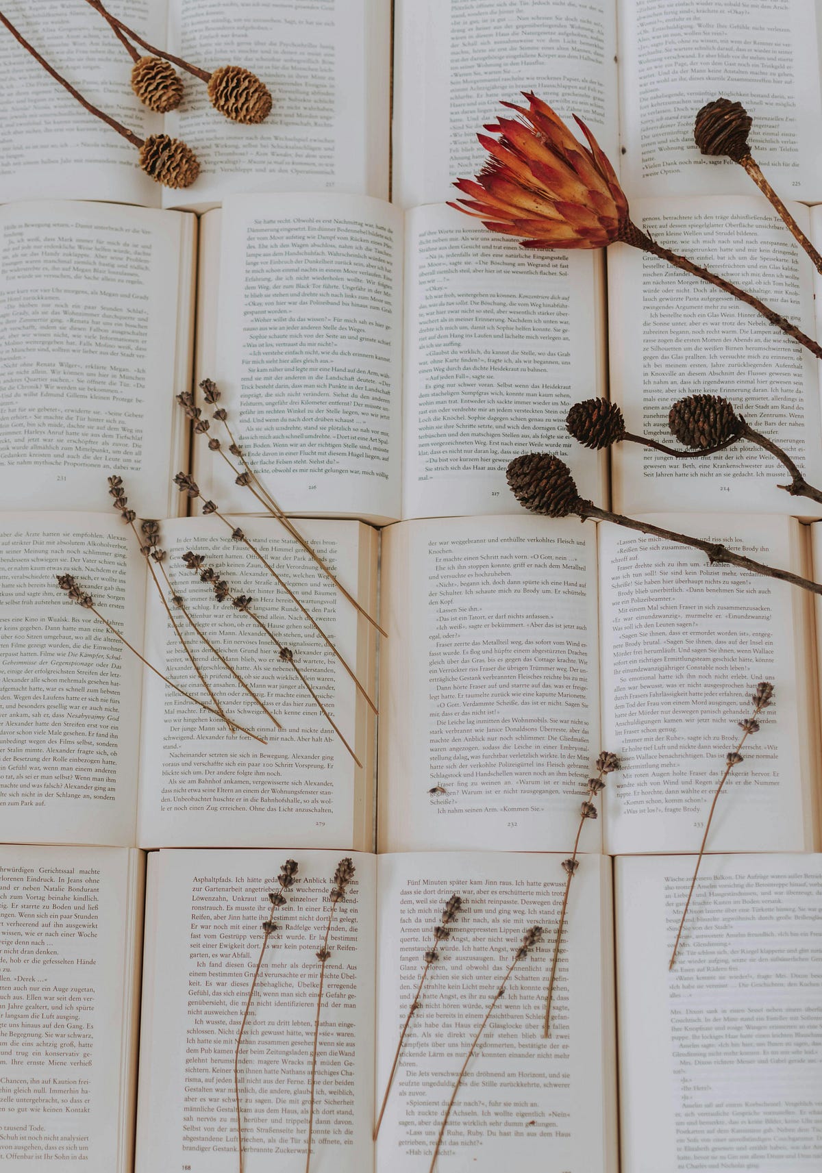 Discover Your Inner Philosopher: A Guide to Different Philosophies | by ...