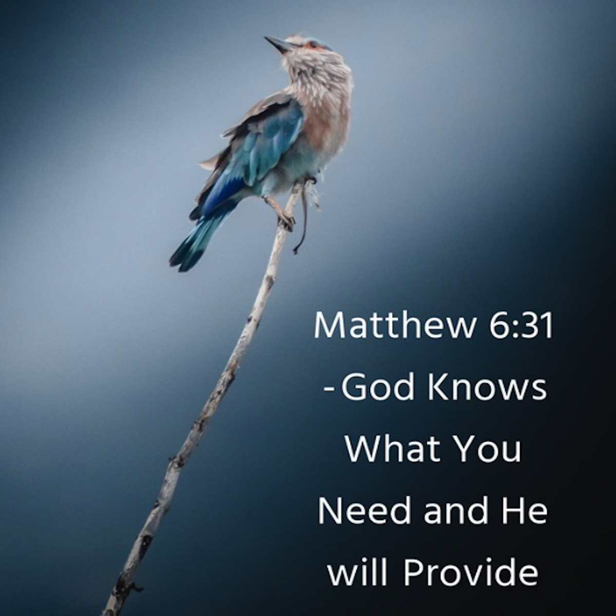 Matthew 6:31 — God Knows What You Need and He will Provide | by ...