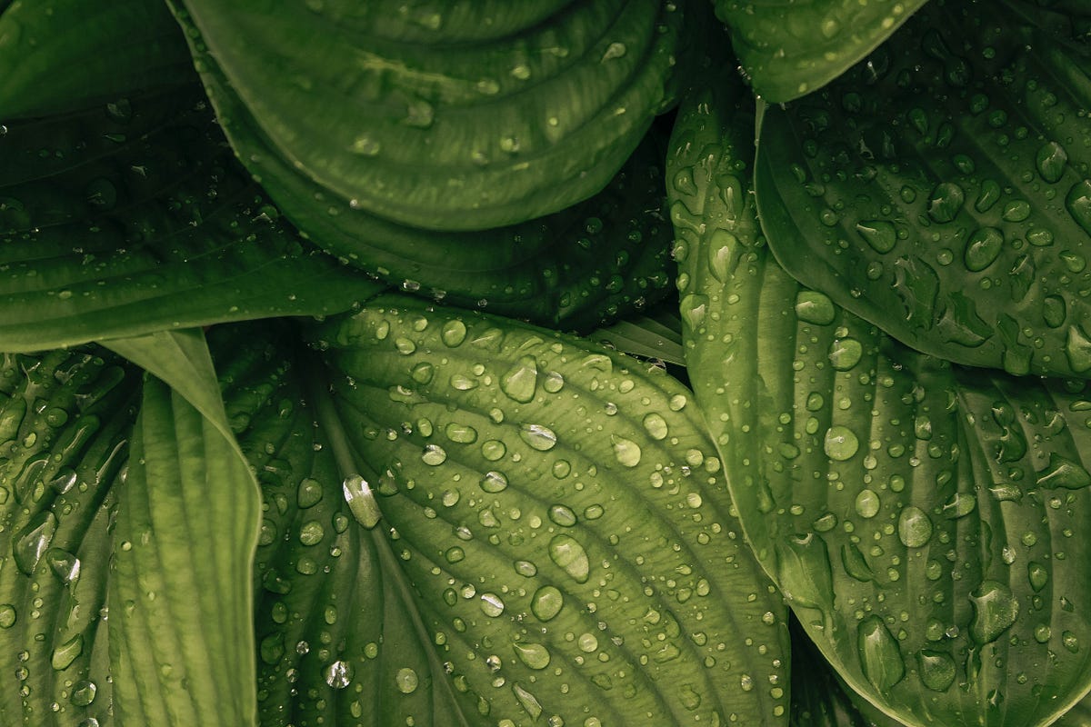 Using TypeScript with MongoDB. Combine the power of TypeScript and ...