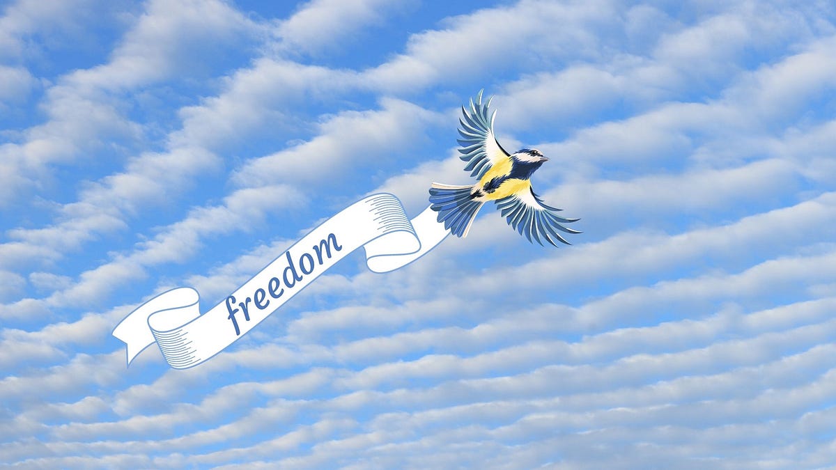 Free To Be Me – poetry & lessons learned | Paper Poetry