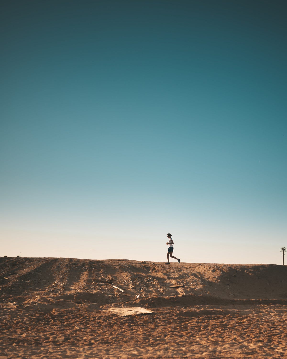 Structuring a Marathon Regimen Through a Hybrid Lens (Week 5) | by Ethan Wong | Medium
