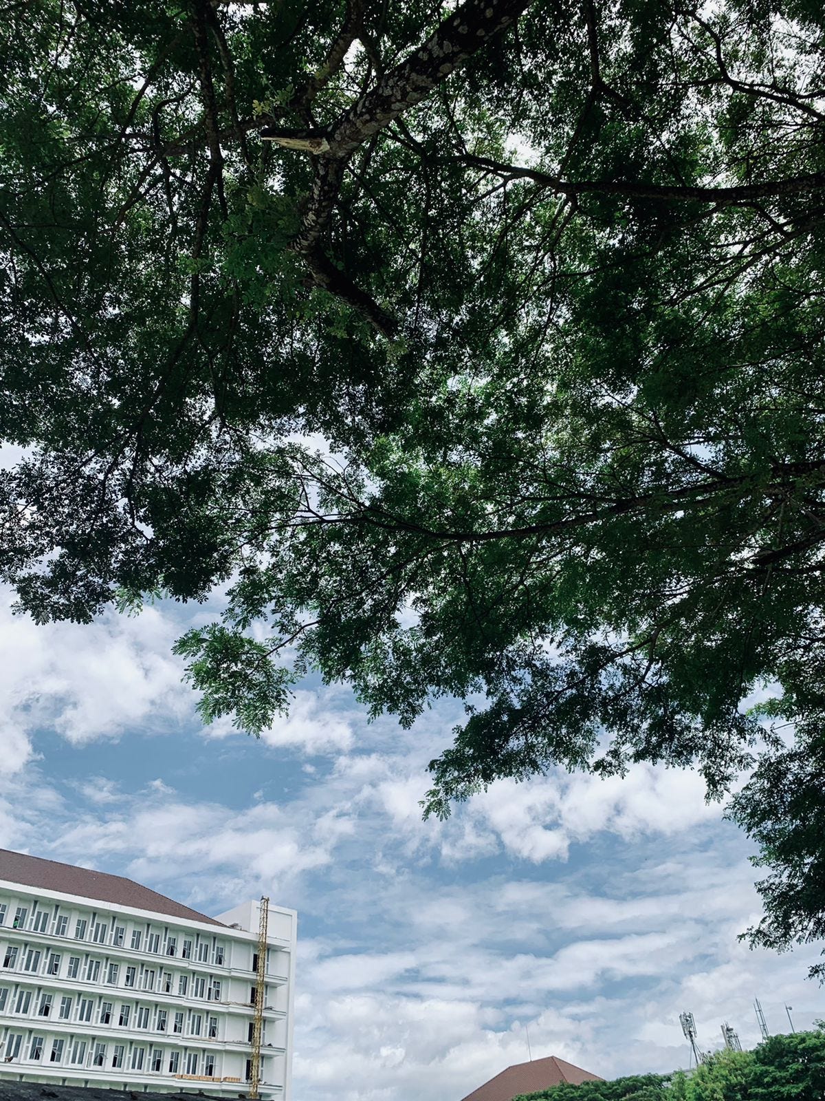 Spot Foto Instagramable di UMY, cocok buat feeds instagram kamu | by ...