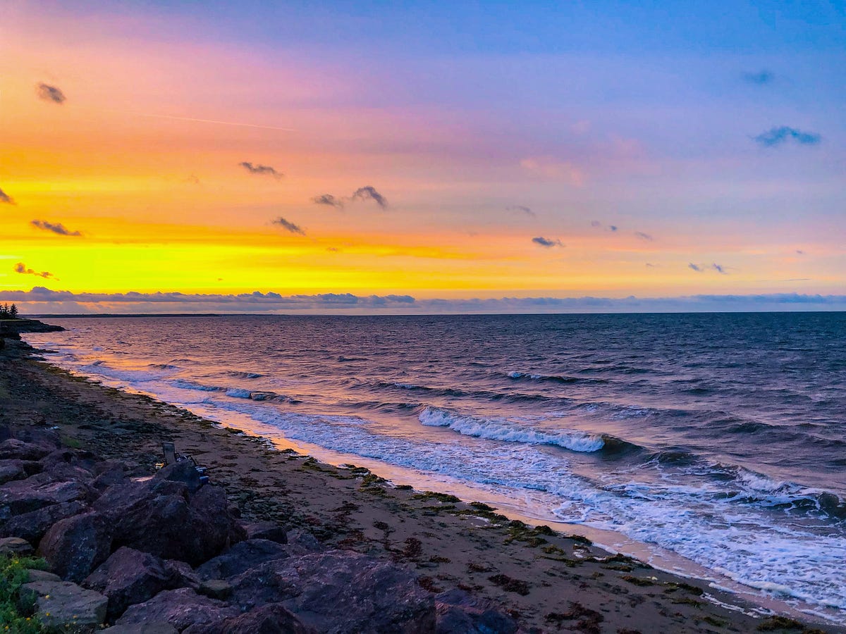 Wednesday Waves. Welcome to Wednesday Waves, your weekly… | by Mark ...