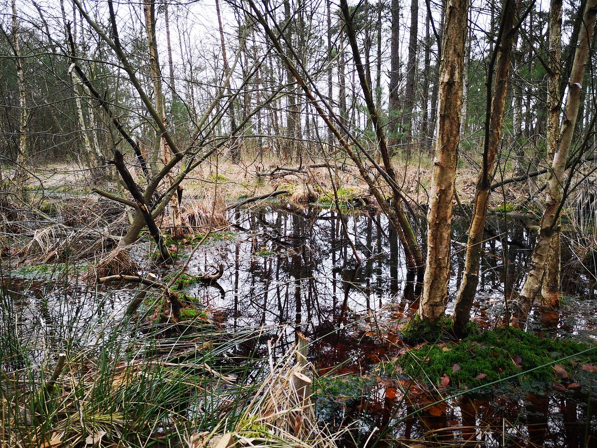 Common pitfalls of implementing Java annotation processors and how to ...