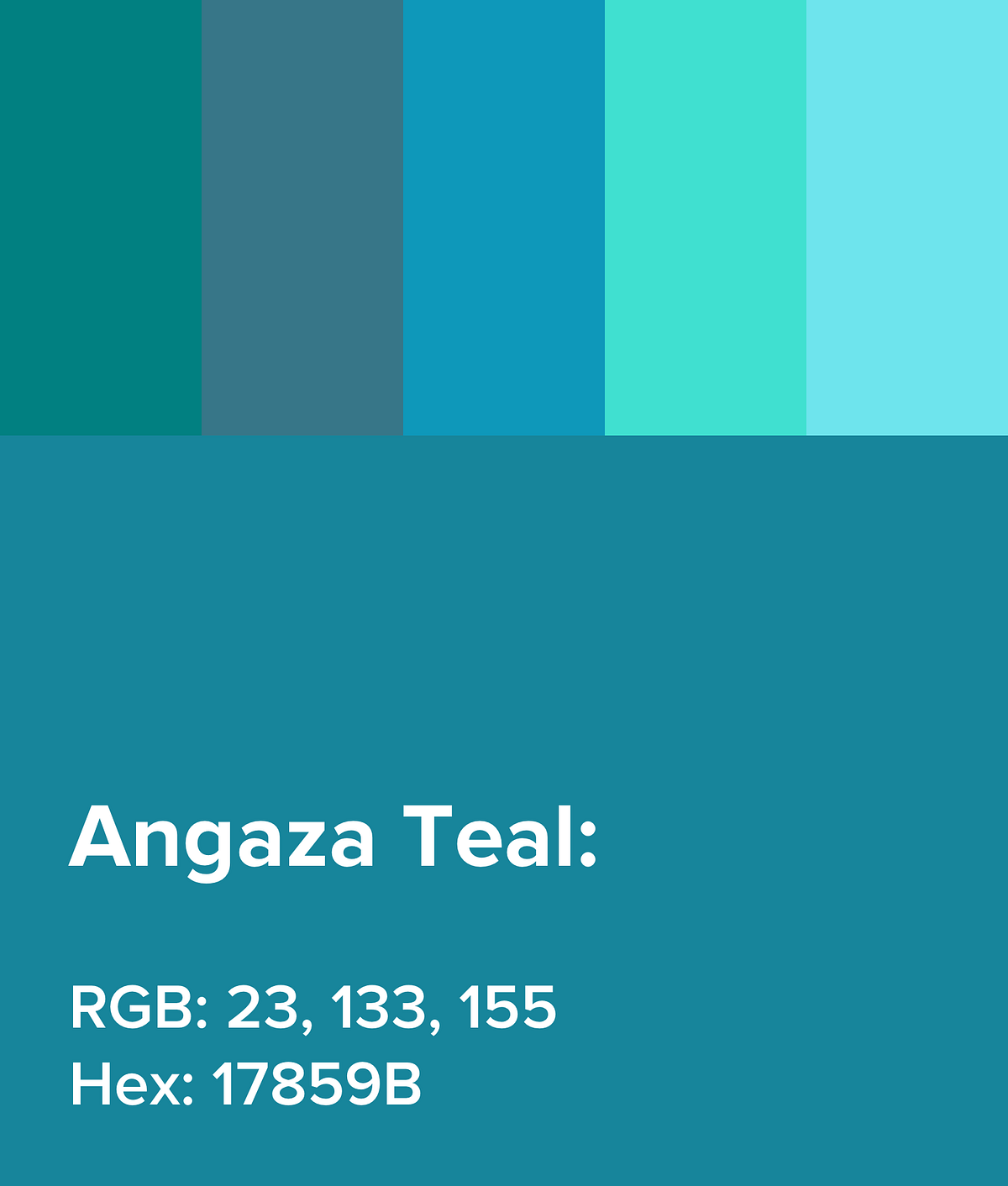 A refresh of the Angaza Logo. Design decisions behind the branding ...