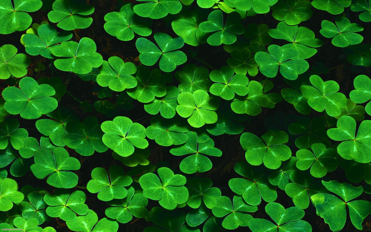 Making your own luck; Pick and Shovel play. | by Tony | Medium
