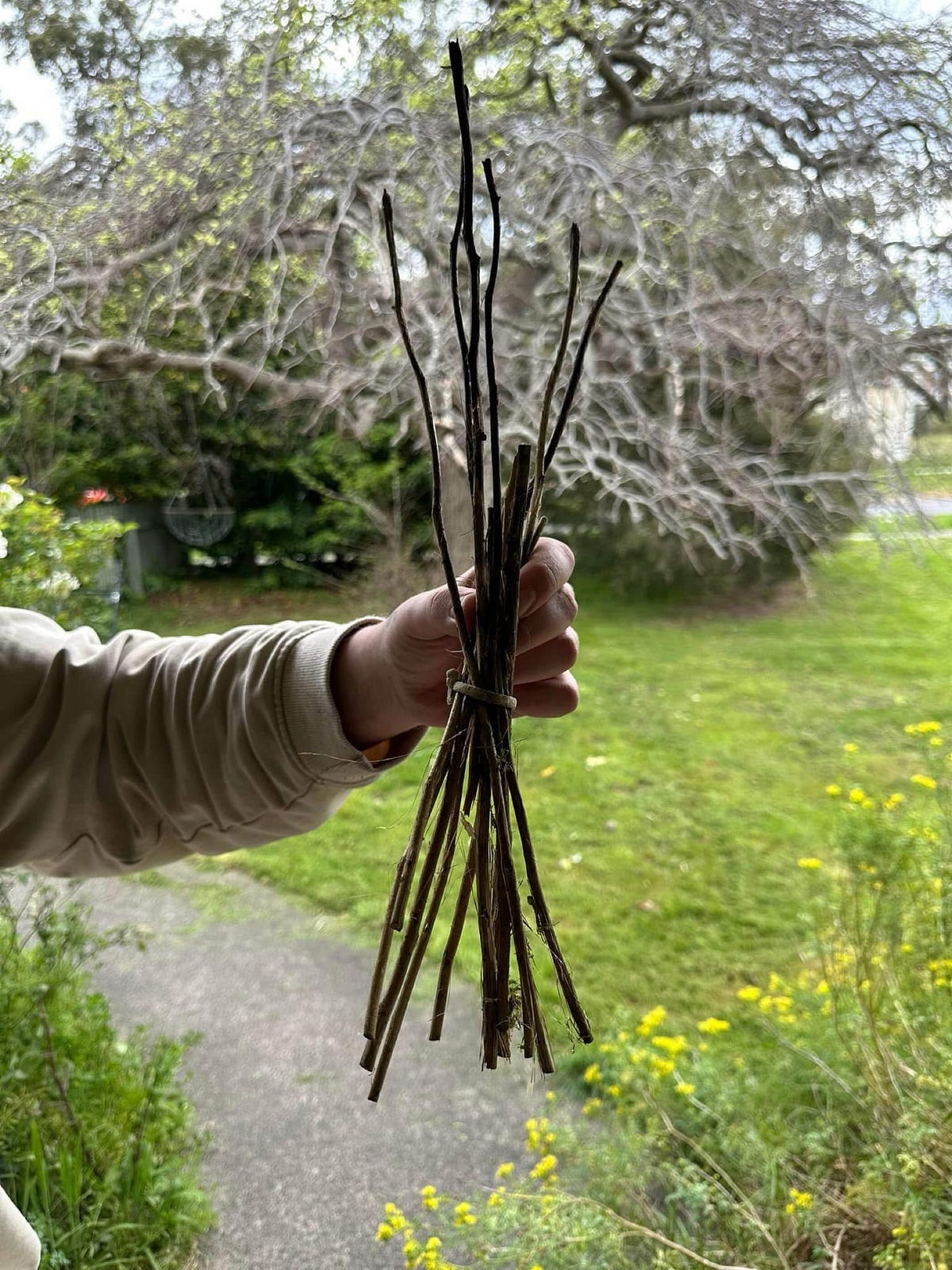 Psychic Attacks, what are the Signs? | by Amanda APS and Bill Tabone ...