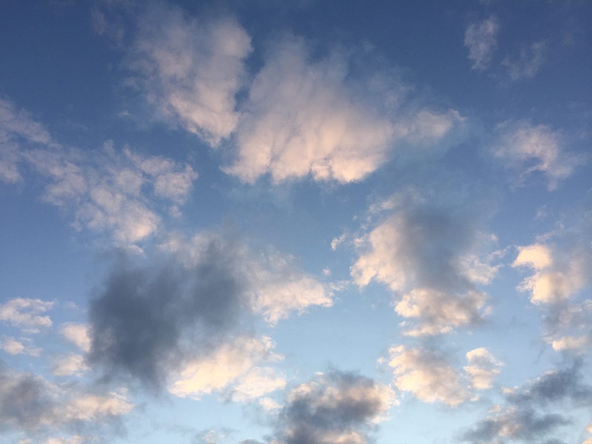 January 9th 2020. You and I have a love-hate… | by Kyleigh Melville | Medium