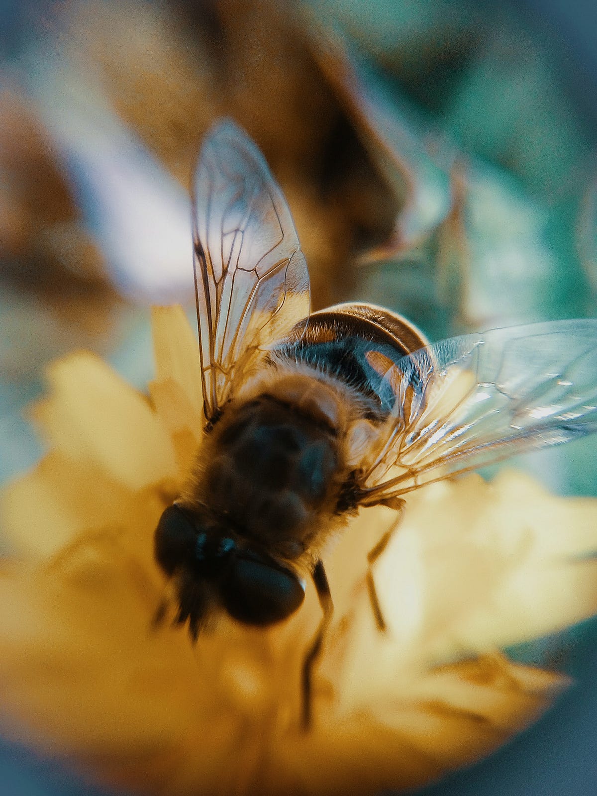 To Be. Not to do | by Ann Litts | Queen’s Children | Medium