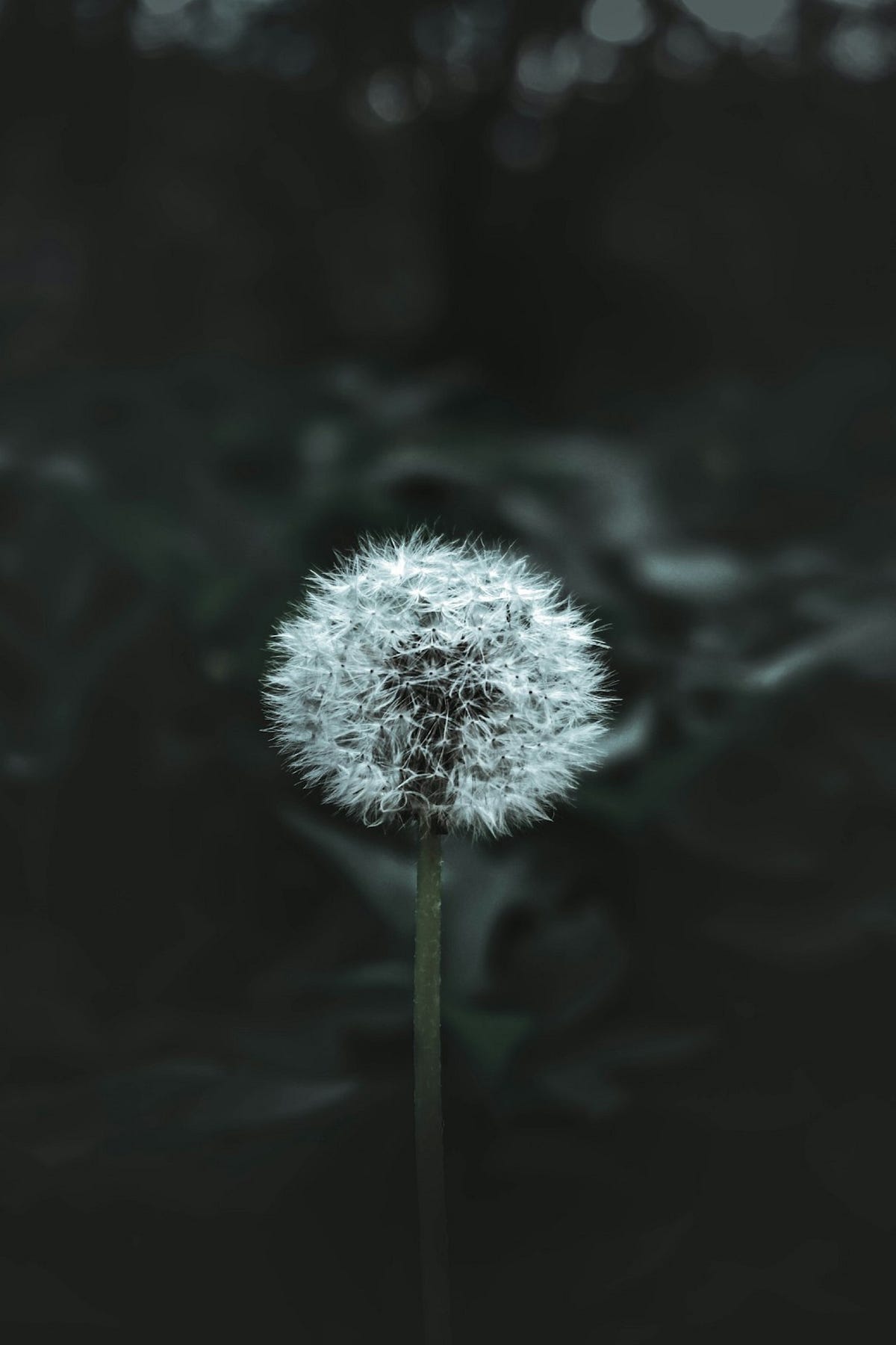 Uncontrollable Sadness. Dear Older Me, | by What Mea Writes | Medium