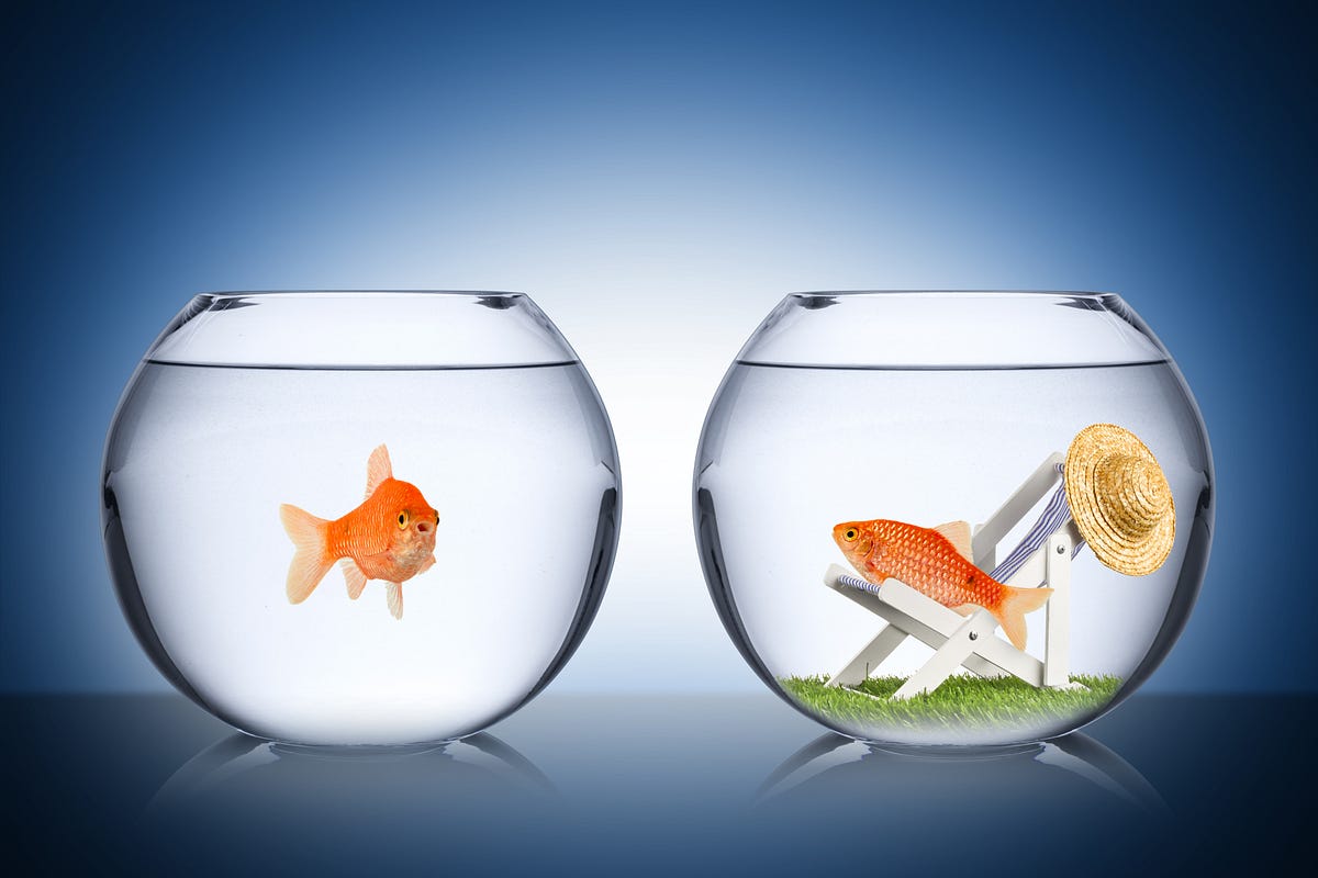 Do You Often Think Others Have a Better Life Than Yours? | by Diana Leotta | ILLUMINATION | Medium