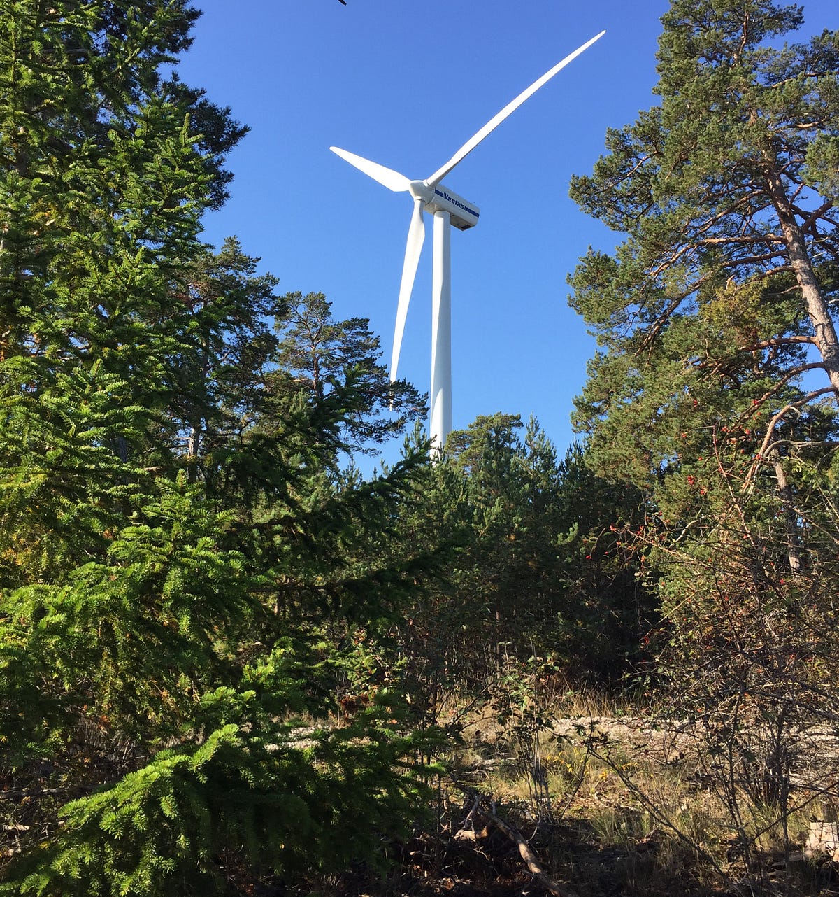 The Positive Environmental Externalities of Wind Farms - Grisha ...