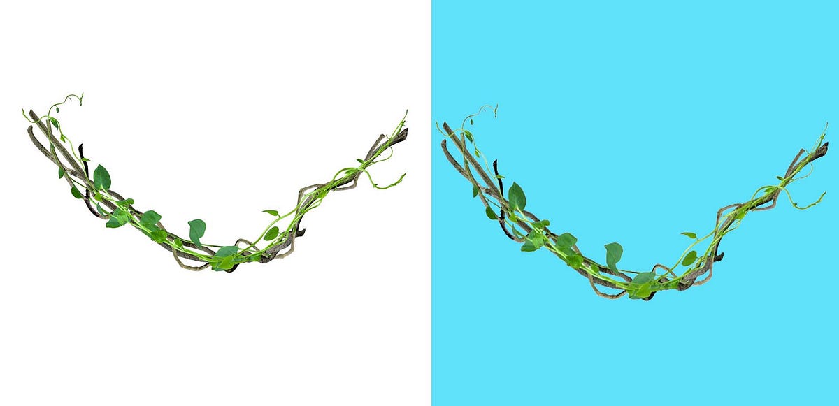 Professional Background Removal Services | by Kimbarlysarah | Apr, 2024 ...