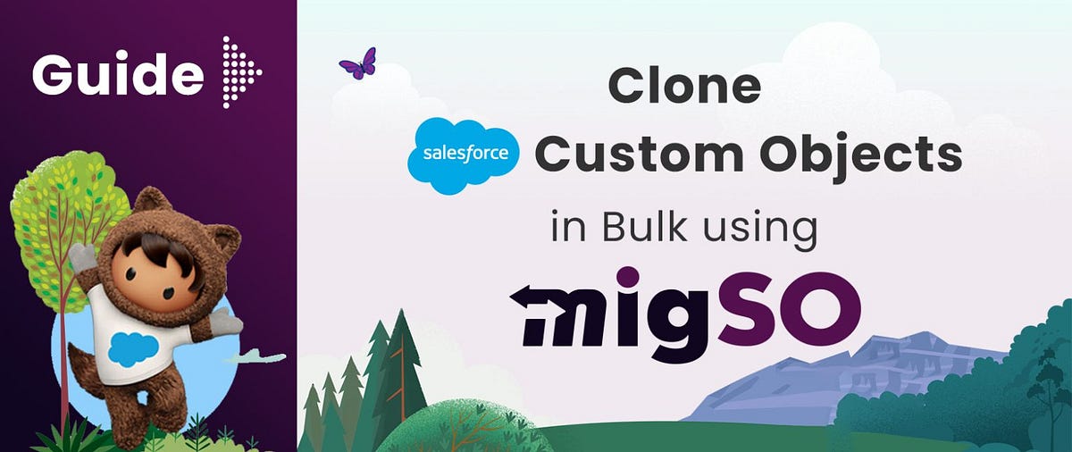 Clone Salesforce Objects In Bulk - Salesforce Metadata App - migSO - Medium