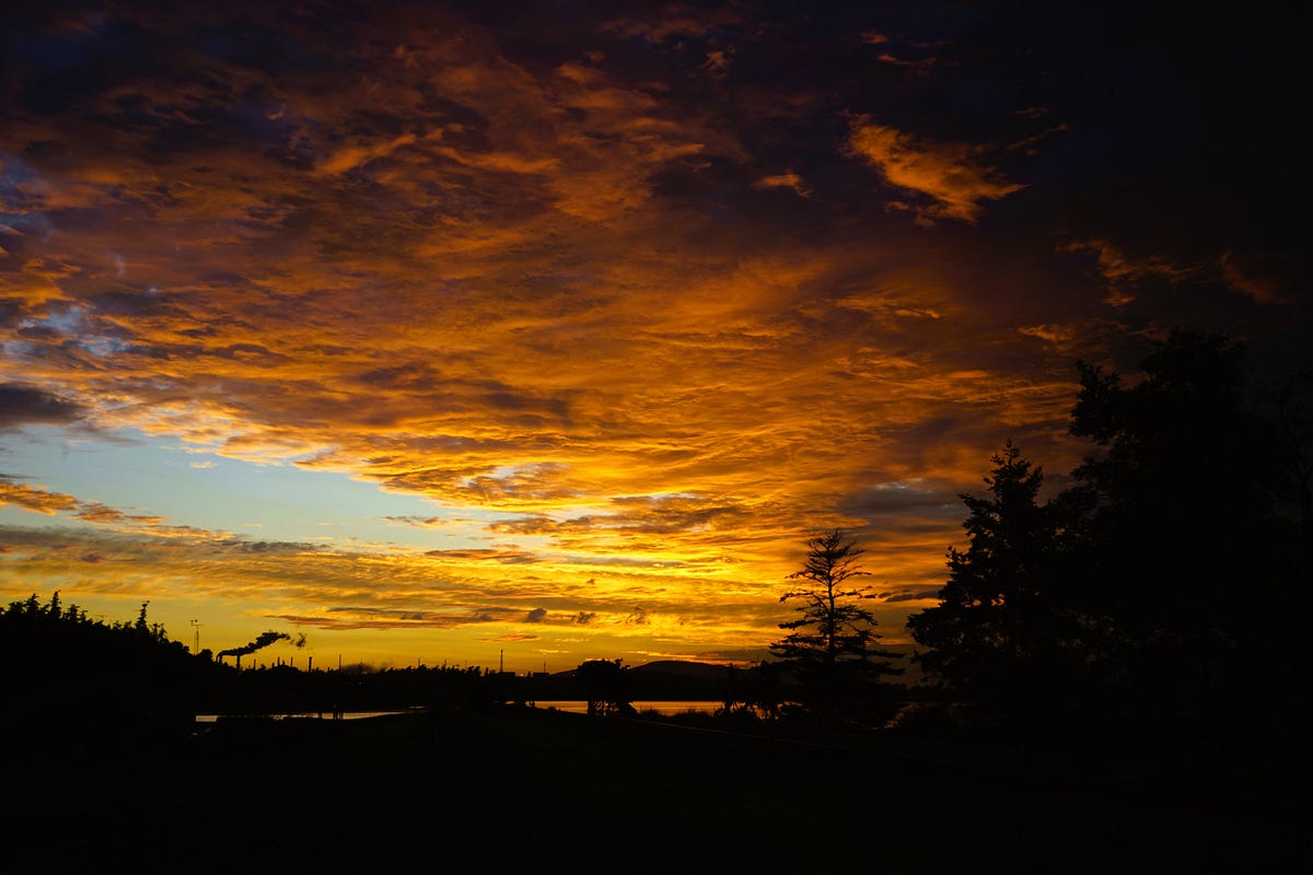 3 Routines for Leveraging the Intentional Pause as a Daily Mindfulness ...