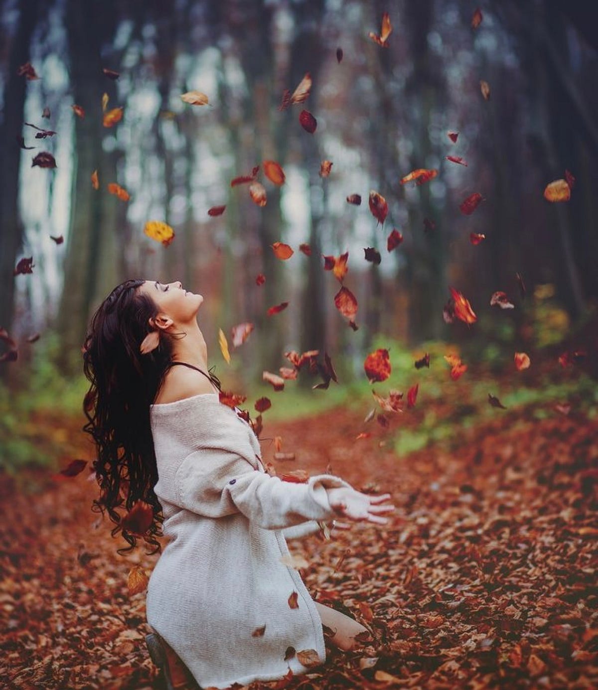 Summer wind… - La Marr Wenrich - Medium