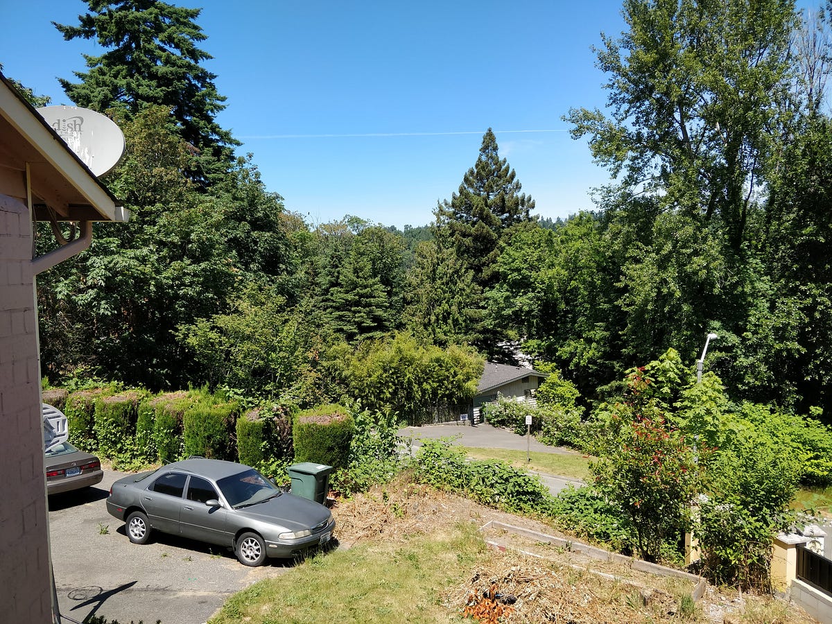 The Outside World. When I was a kid, I absolutely loved… | by Tj Singh ...