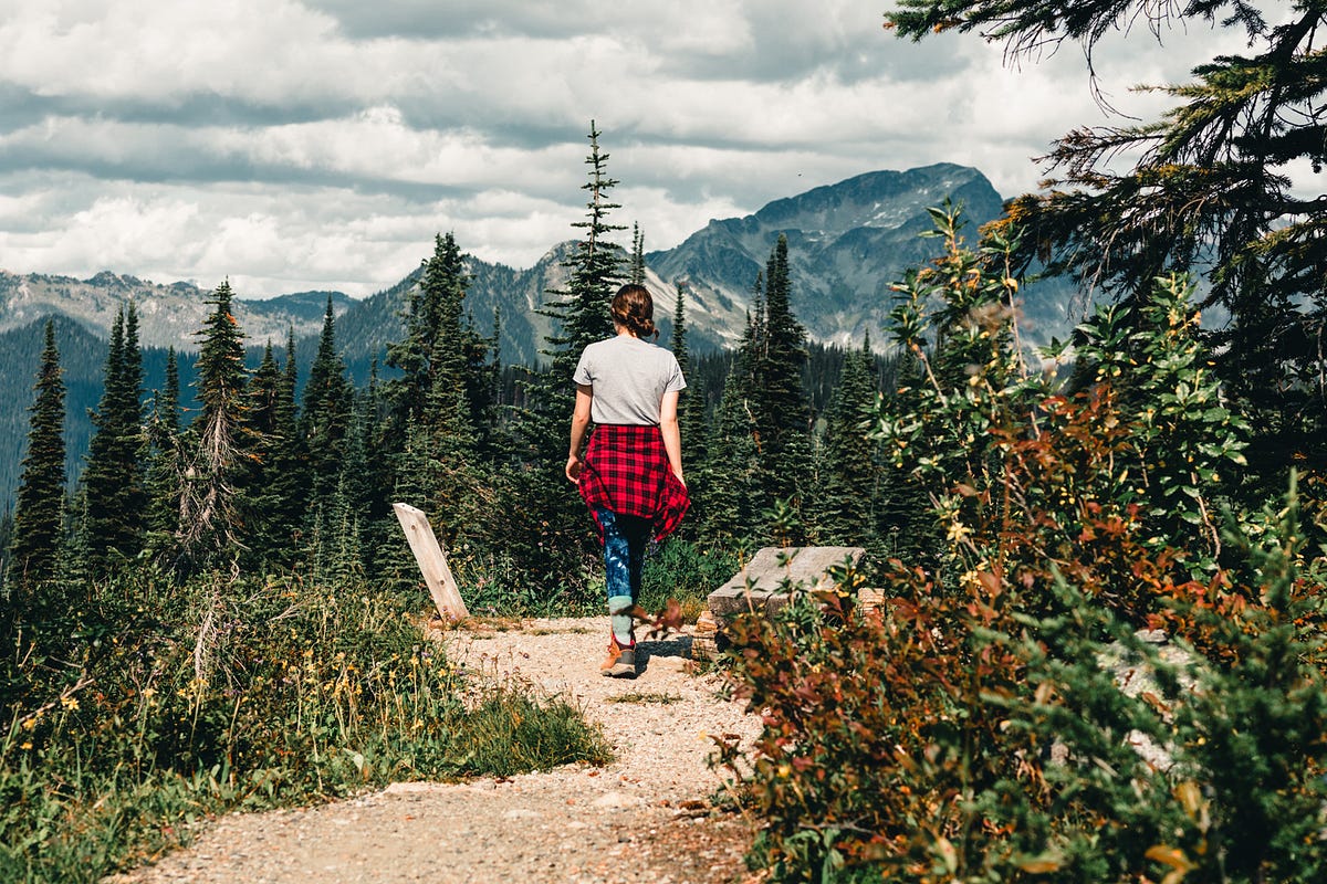 B Corp pending: Our journey to becoming certified | by Lighthouse ...