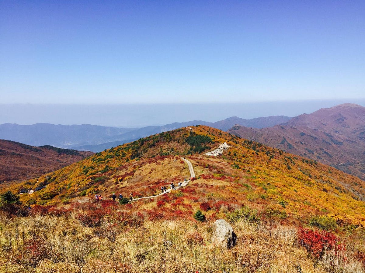Ruri Lee: Learn to make your own decisions by travelling solo | by ...