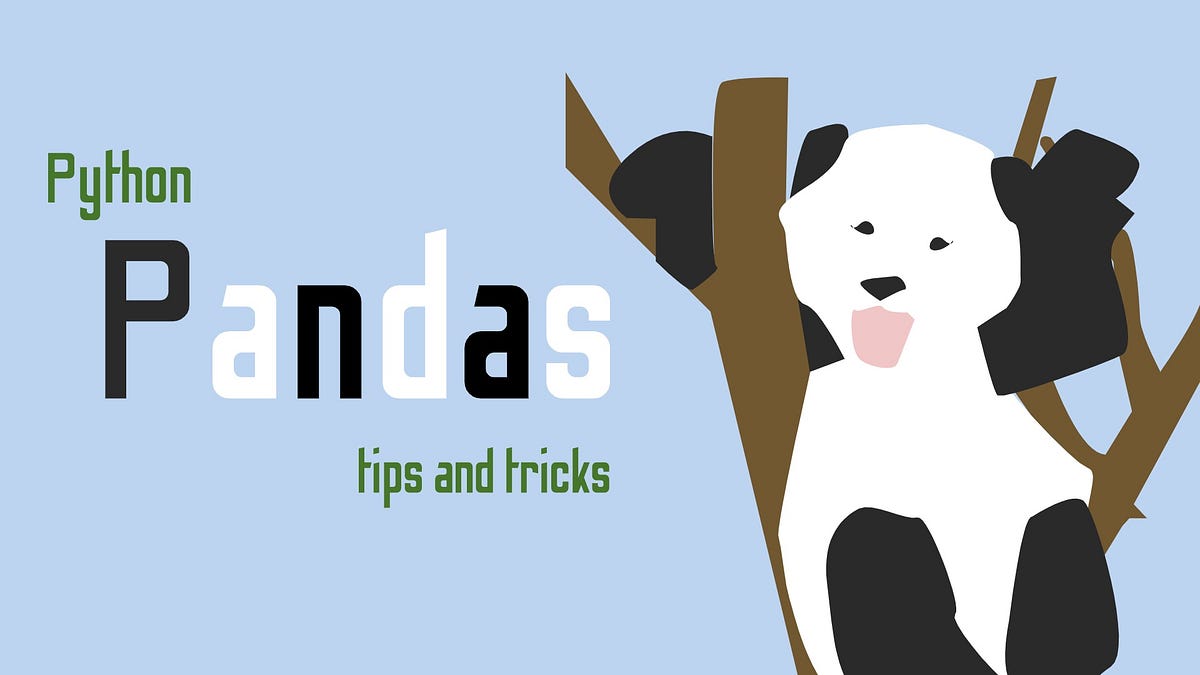 20 Great Pandas Tricks For Data Science | by Emma Boudreau | TDS ...