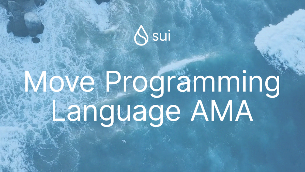 Recap 7/14 Sui AMA: Move Programming Language with Mysten Dev Team | by Dmitry Bozza | Medium