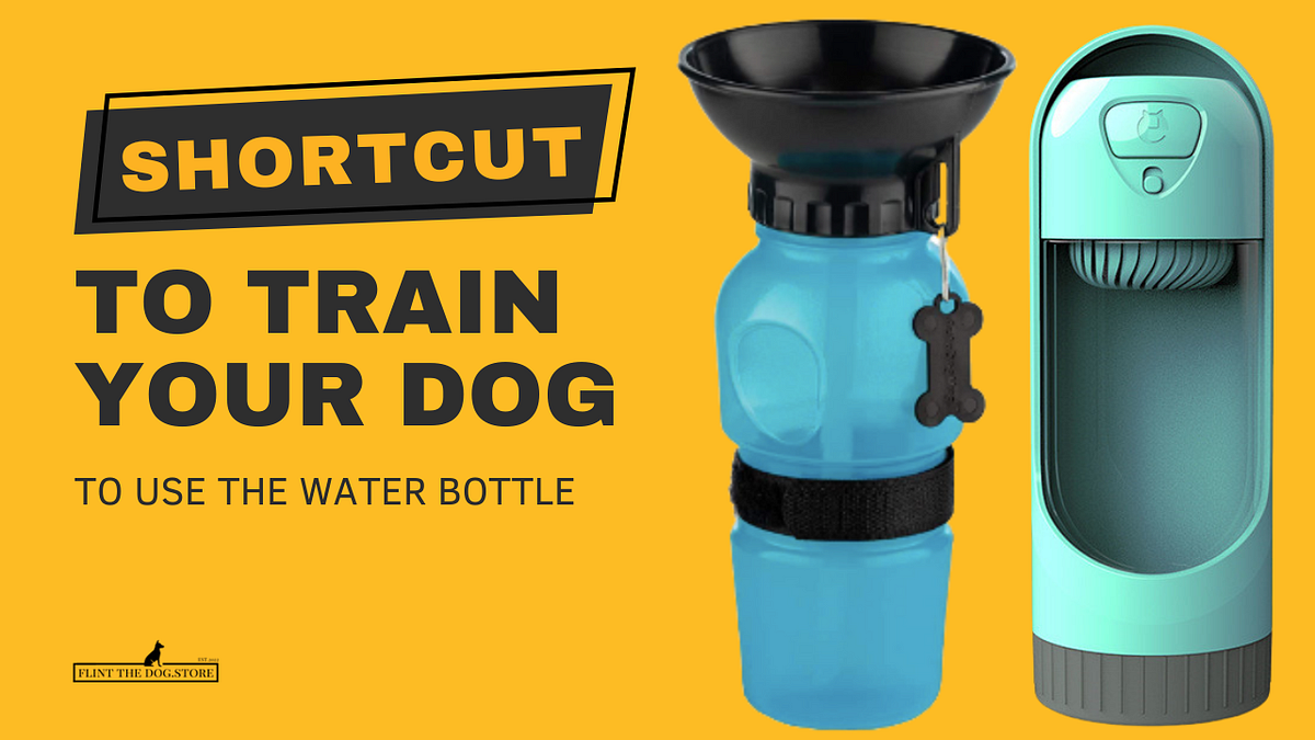 Shortcut To Train Your Dog To Use The Water Bottle | by Flint The Dog ...