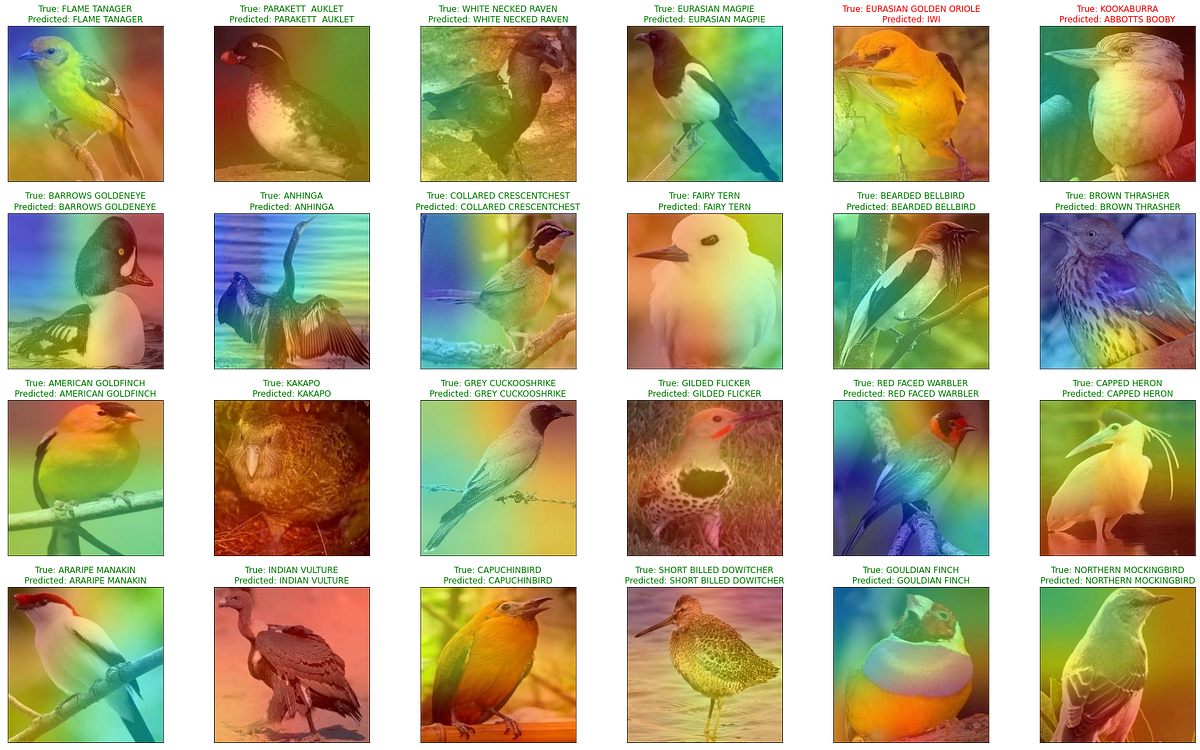 Birds Classification With Pre Trained Convolutional Neural Networks And Cam Heatmap