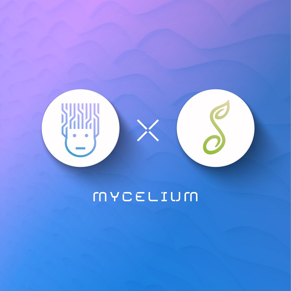 MYCELIUM NFTs. MYCELIUM HOLO, an NFT imprint of… | by BUDAYAeco | Medium
