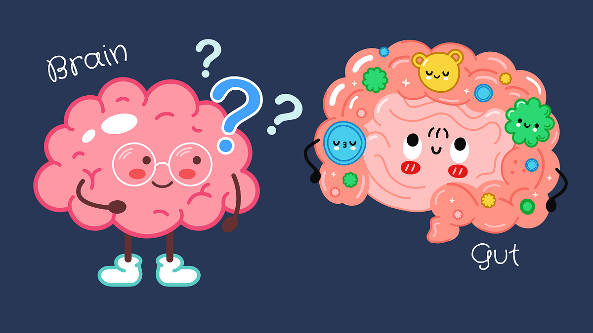 The Second Brain You Didn’t Know You Had: Your Gut! | by Alejandro ...