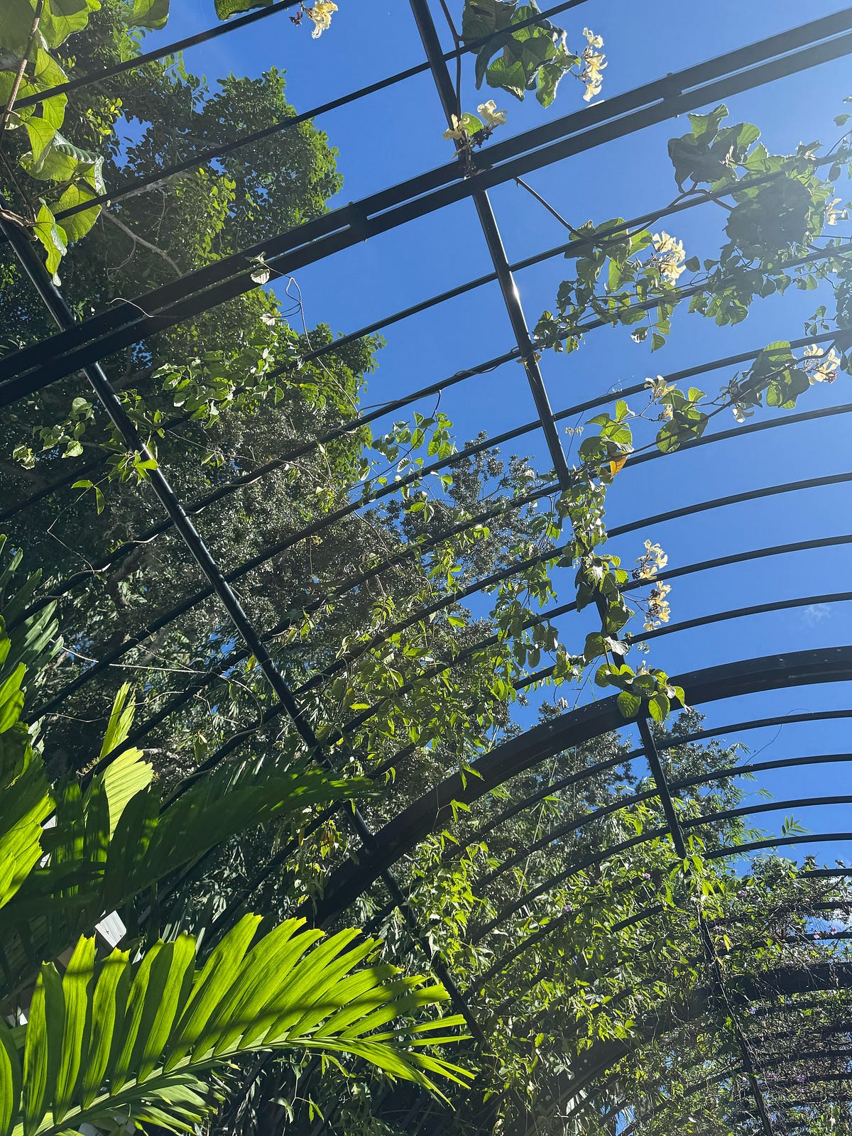 Full, Yet Yearning. On learning to feel full again without… | by Kelsey ...