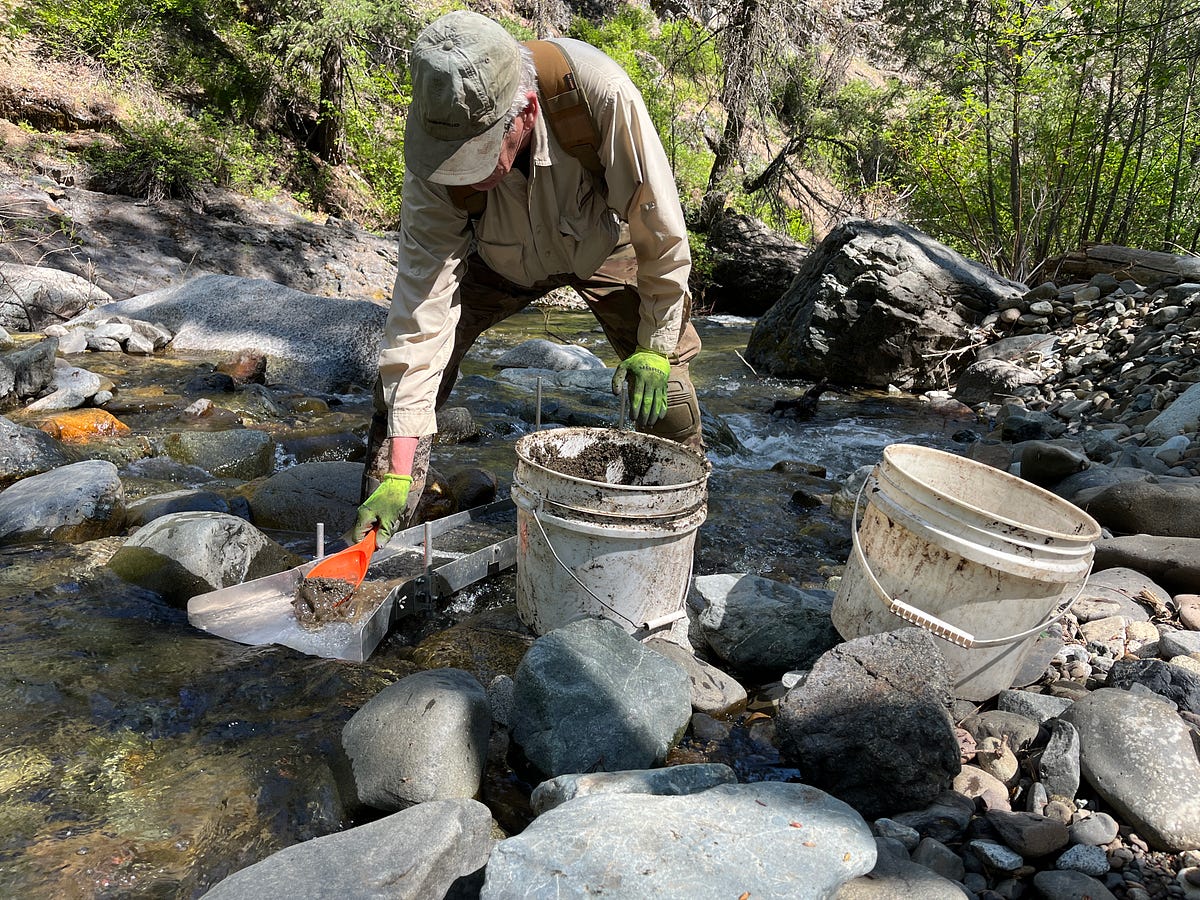 Panning for gold in Washington waters: rules, hot spots, and tips | by ...