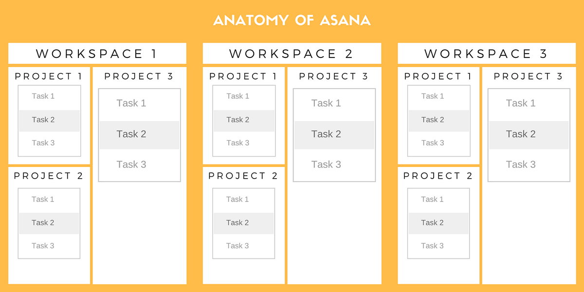 How to use Asana like a Pro for Project Management | by Vishal ...