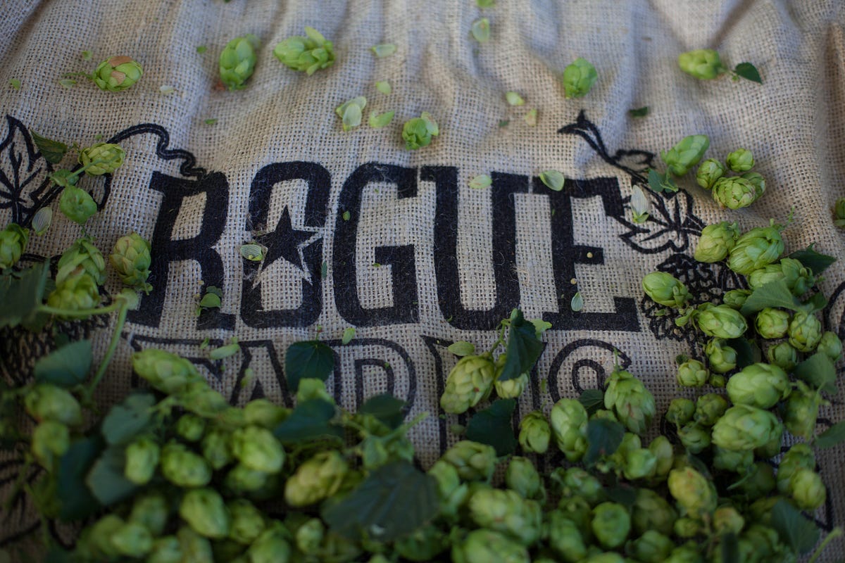 A Rogue 2015 In Review. A year of Revolution for those who… | by Rogue ...