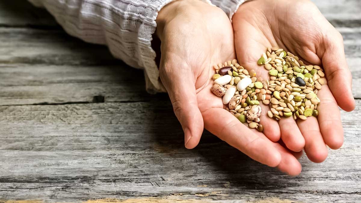 Unlocking the Health Benefits of Mixed Seeds: A Guide for Vibrant Aging ...