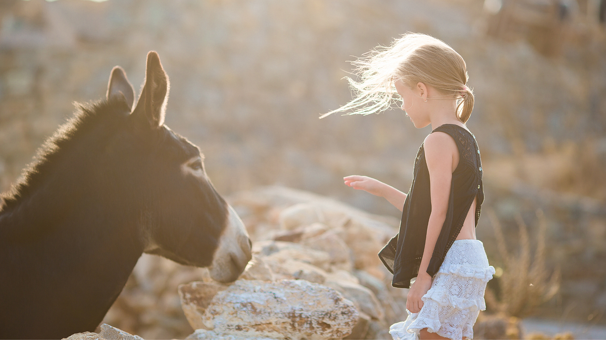Healing our perceptions — a homily for the 5th Sunday of Easter | by ...
