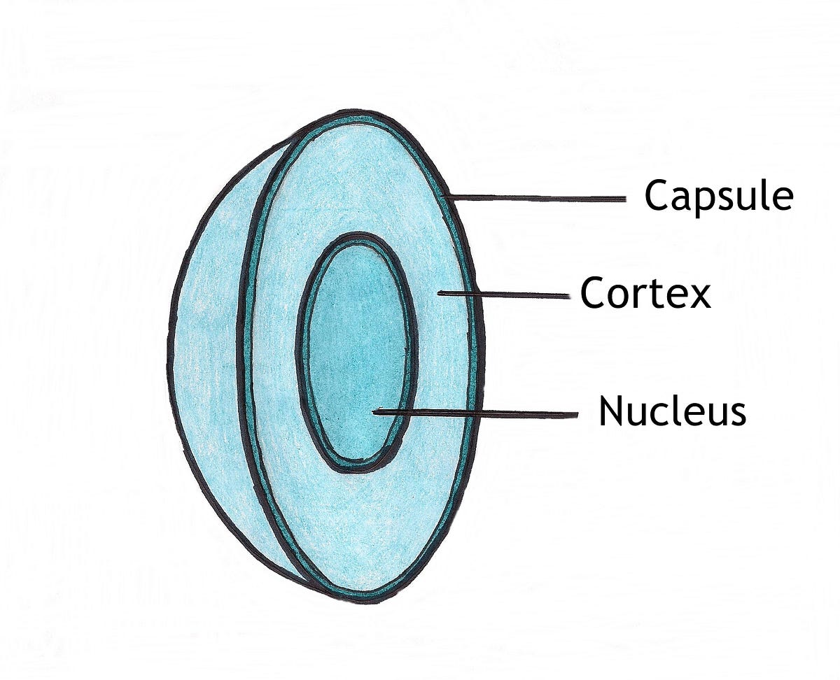 Seeing Beyond Clouded Eyes: Understanding Cataract Surgery and ...