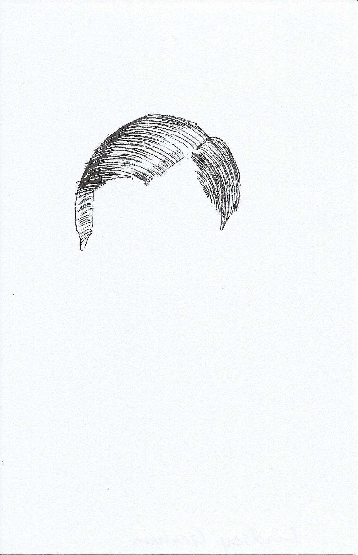 Republican Hair. Last week, after I turned in the first… | by Michael ...