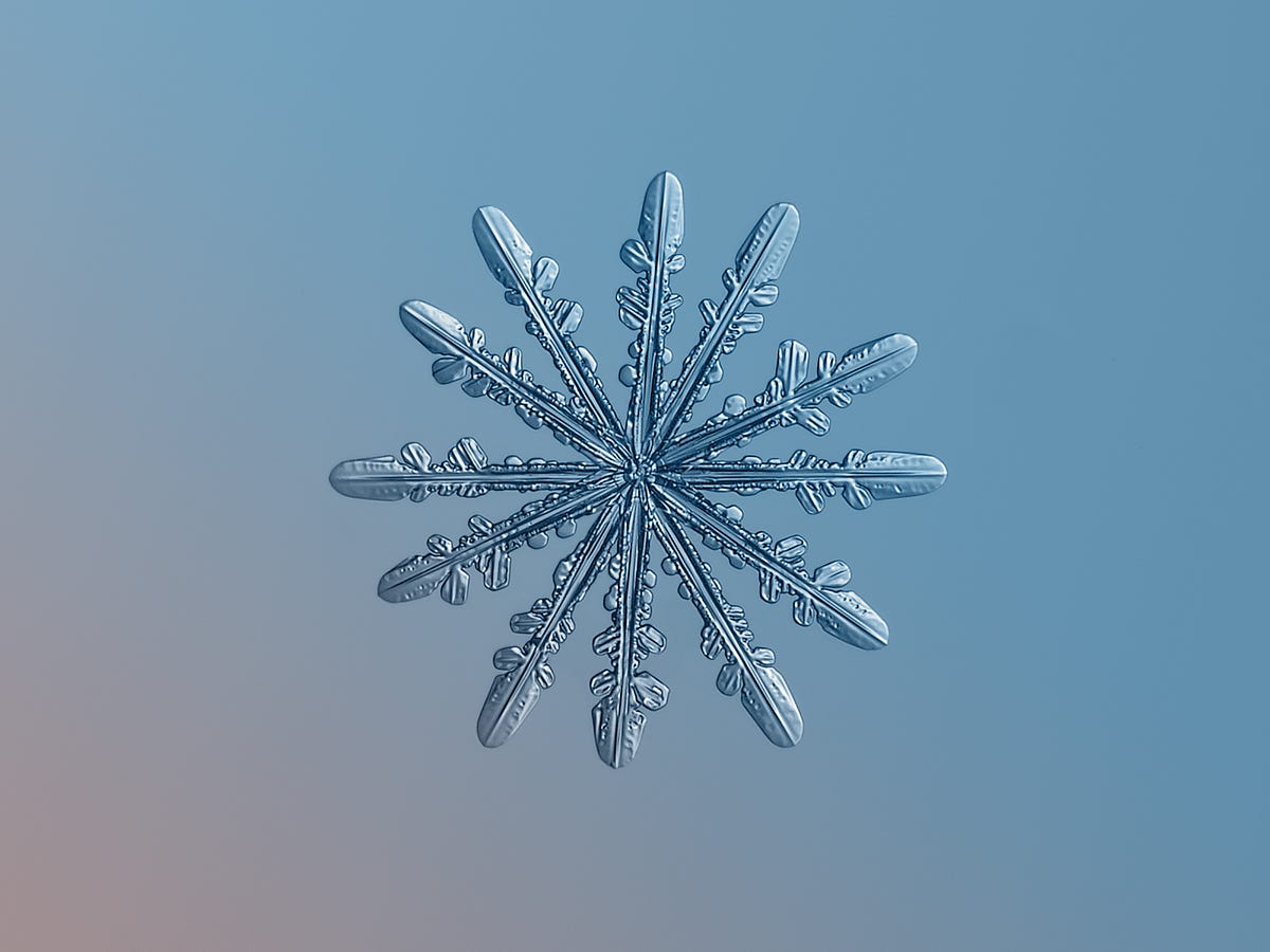 You are a Special Snowflake. You’re a perfect, unique, special… | by ...