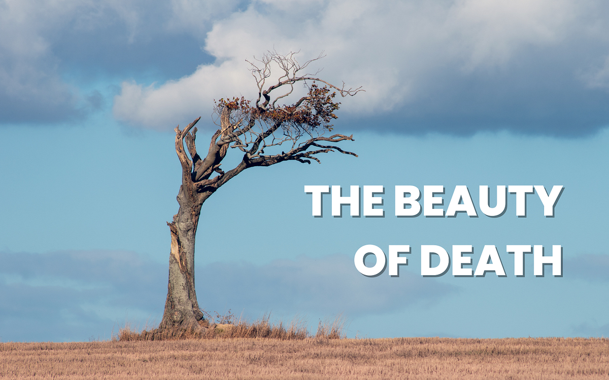 The Beauty of Death | Medium