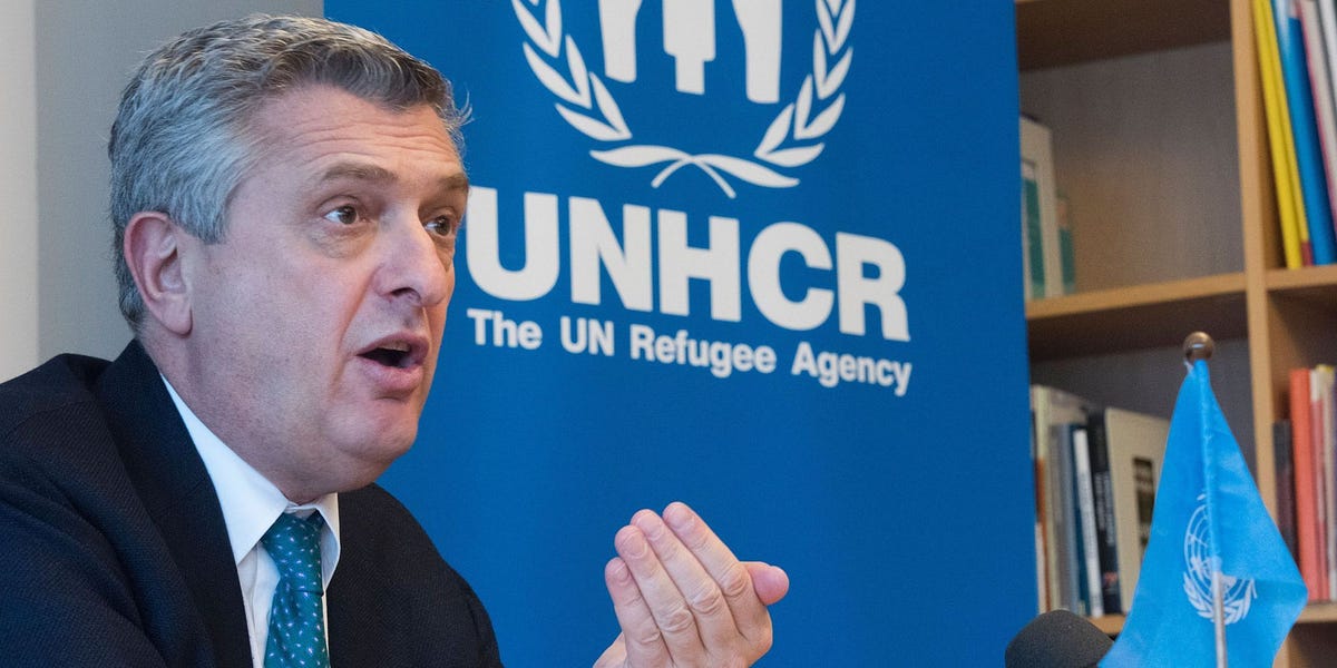 Leadership Development at the UN: The Virtual Catapult | by The UN ...