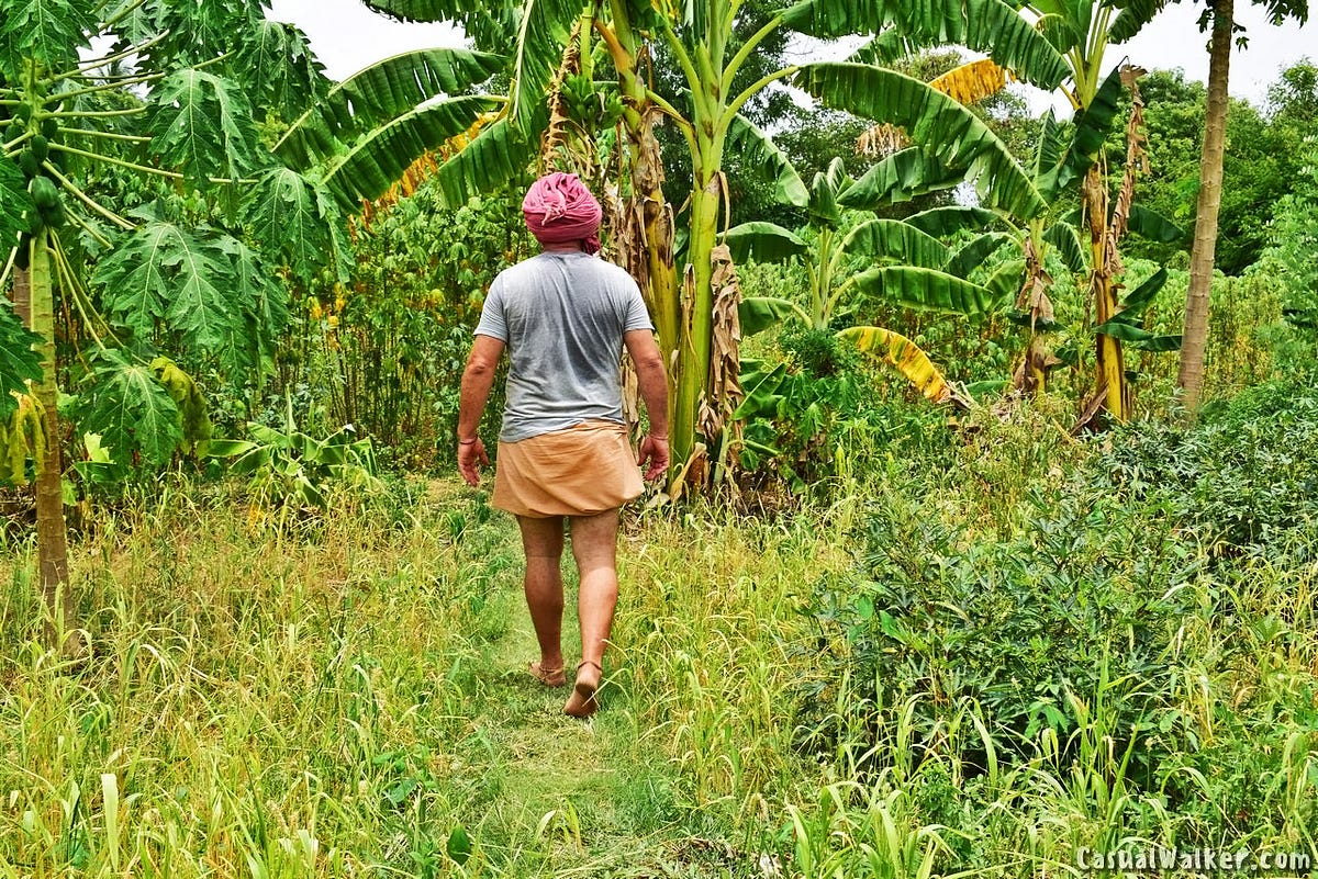 Solitude Farm — Food Discovery Trail, Auroville, Pondicherry Visit ...