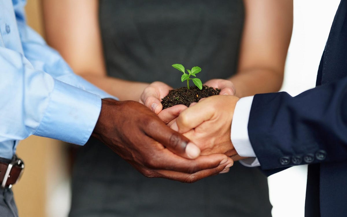 Cultivating Social Consciousness: A Guide to Becoming a Responsible ...