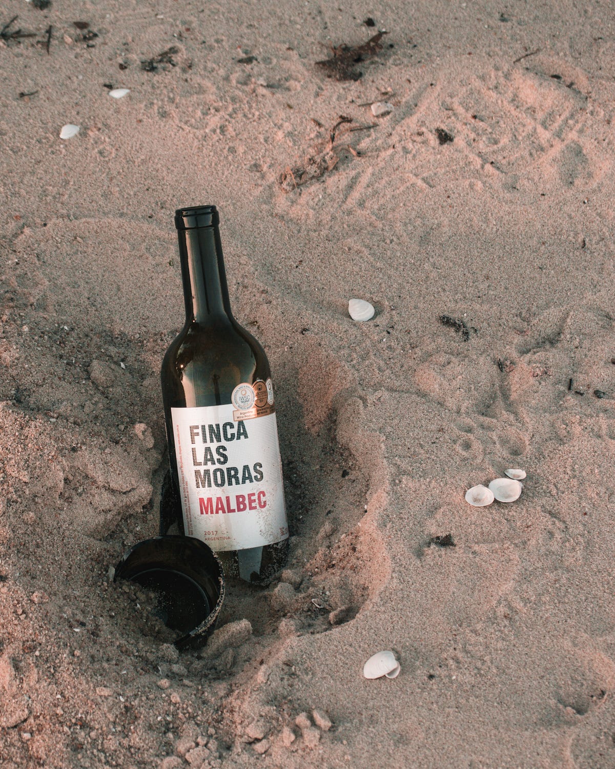 The Wine Raid. Part of a series of short stories about… | by Sarah ...