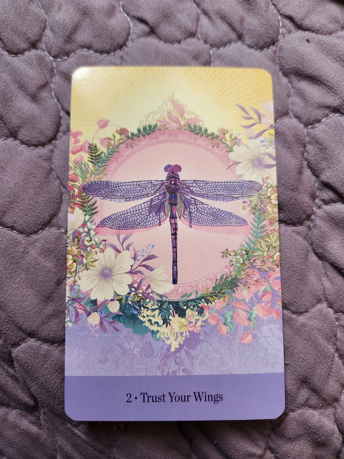 Trust Your Wings. Love Who You Are — Weekly Reflection #2 | by ...