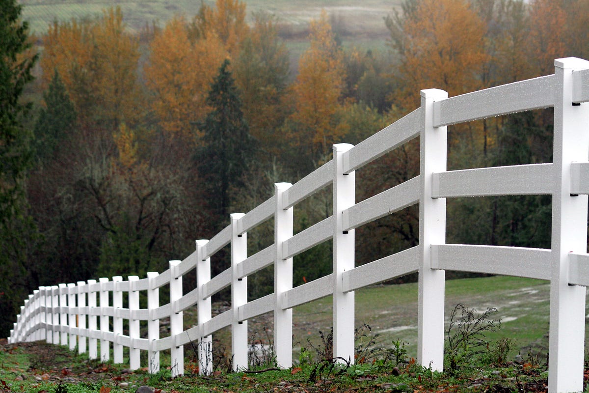 The Value of Physical, Mental, and Emotional Fences | by Camille ...