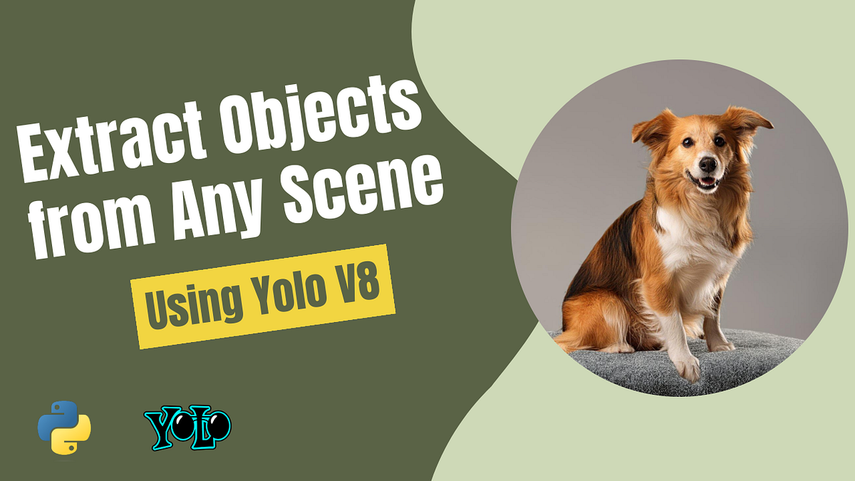 Fast YOLOv8 Dog Segmentation Tutorial for Video & Images | by Eran Feit ...